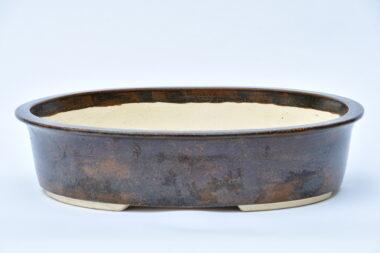 Shop | Seite 2 | Bonsai Stube Roth